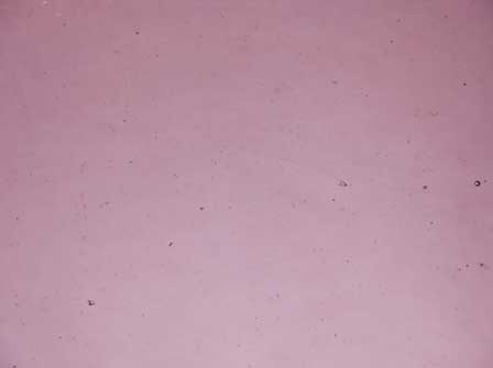 Fusible - Bullseye 90 COE 29cm X 17cm - Lead & Light