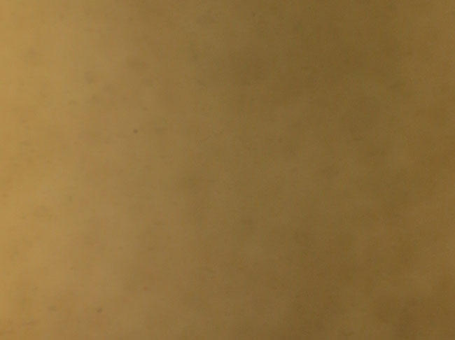 Sahara Glass - Lead & Light